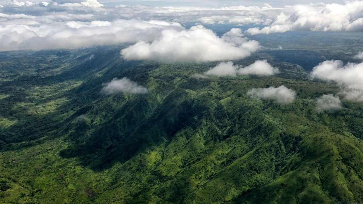 La selva subhúmeda de Madagascar es un destino imperdible