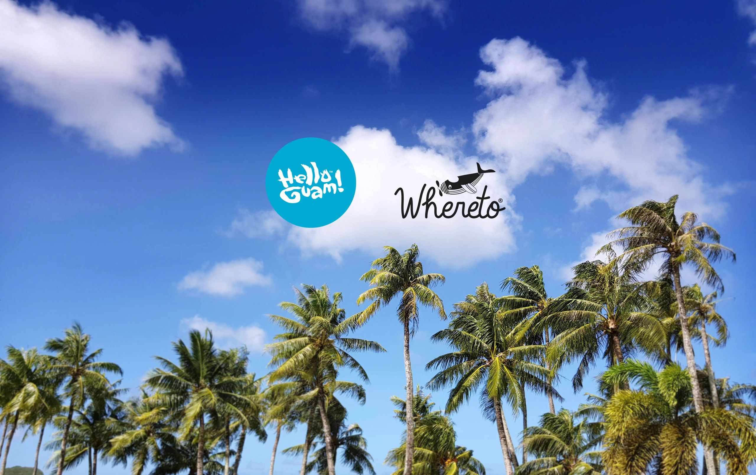 Happy Manta Studio - Home