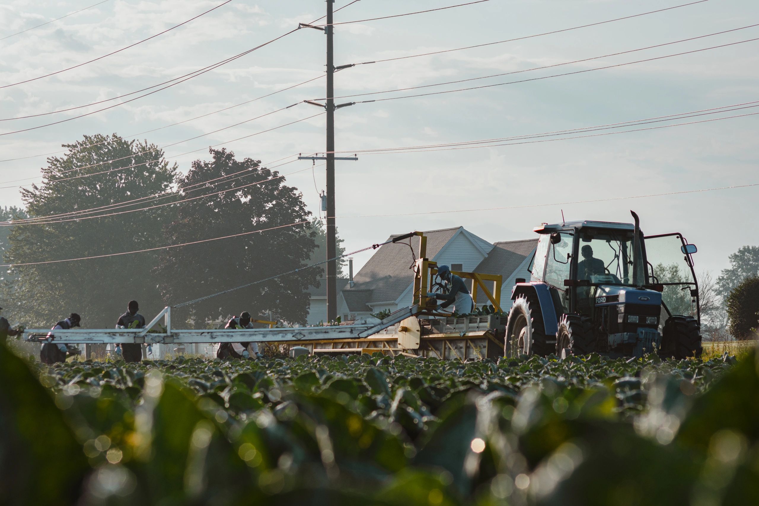 Sunrise Produce Inc.