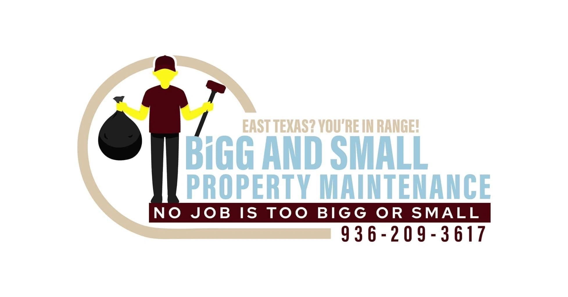 Bigg and Small Junk Removal - Home