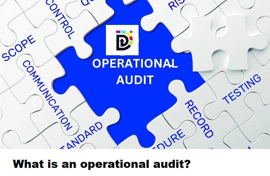 What is an operational audit?
