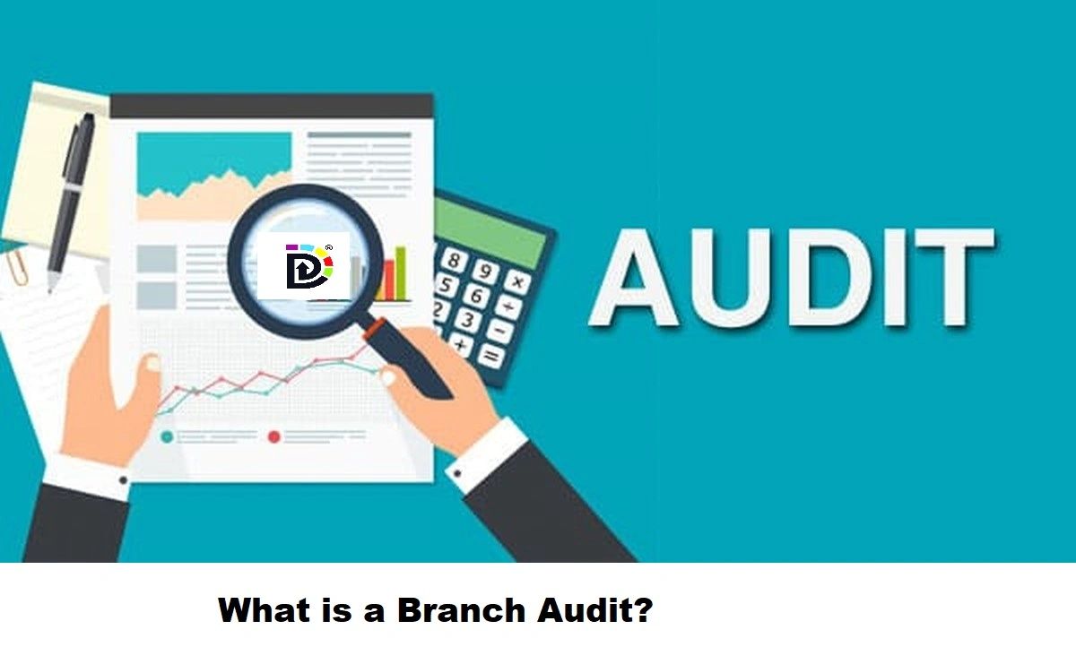 What is a Branch Audit?