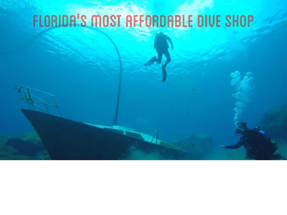 Learn to Scuba Dive - Scuba Lessons for Beginners | S.E.A. Divers