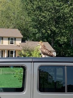 Lessons from Mother Nature