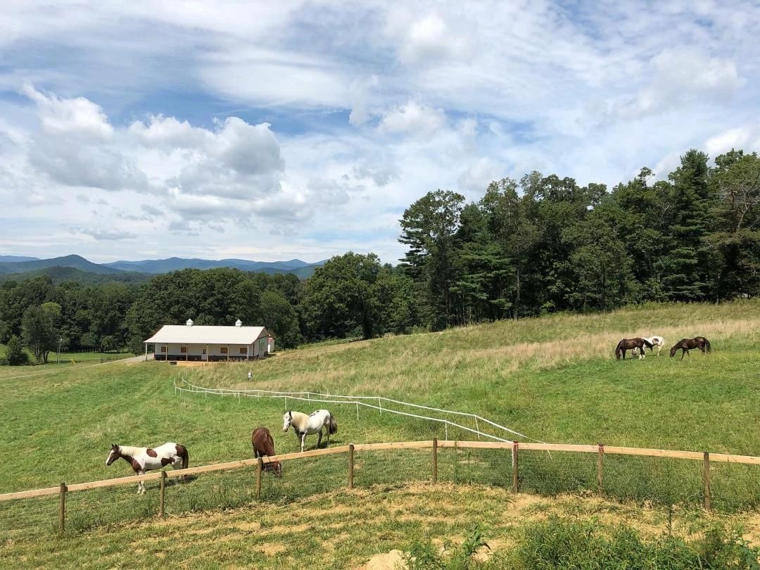 Horse Riding Lessons - Shea Rose Farm, Inc.