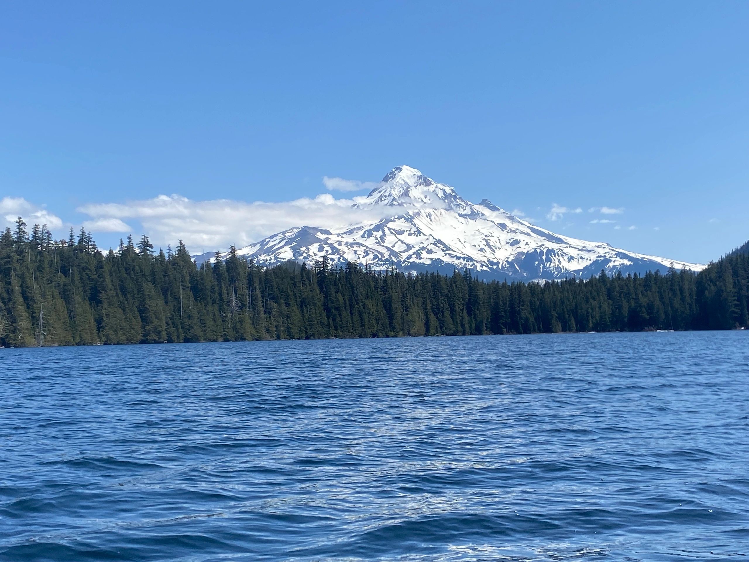 Discover the Power of Digital Wellness with The Bored Co.