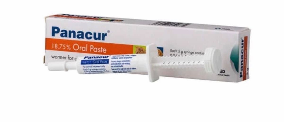 Panacur Paste