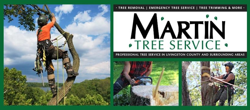 Martin Tree Service