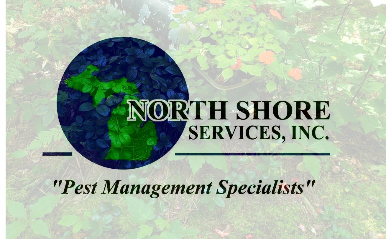 North Shore Services, INC