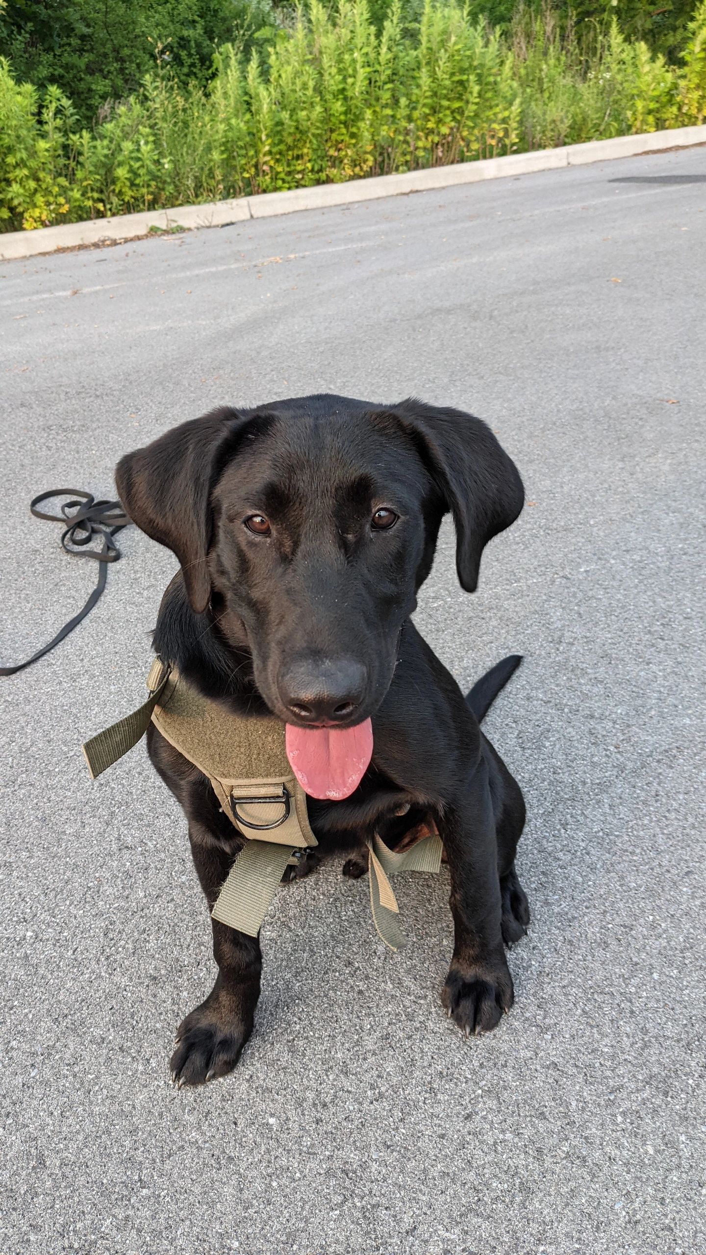 Meet Us | K9 Water Leak Detection