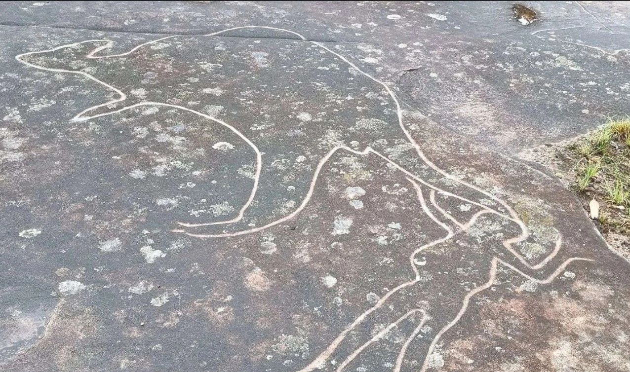 TEENS HUB School Holiday Hangout - Aboriginal carvings walk at Jibbon