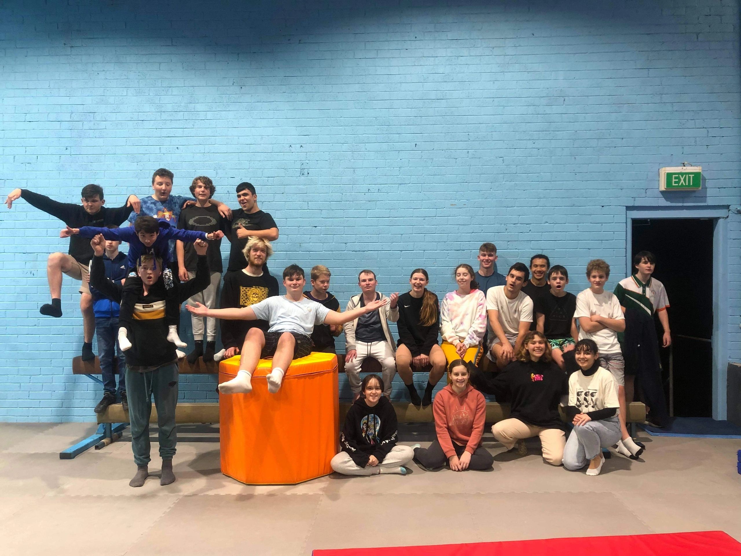 Phoenix Community Project Inc - Disability, Programs