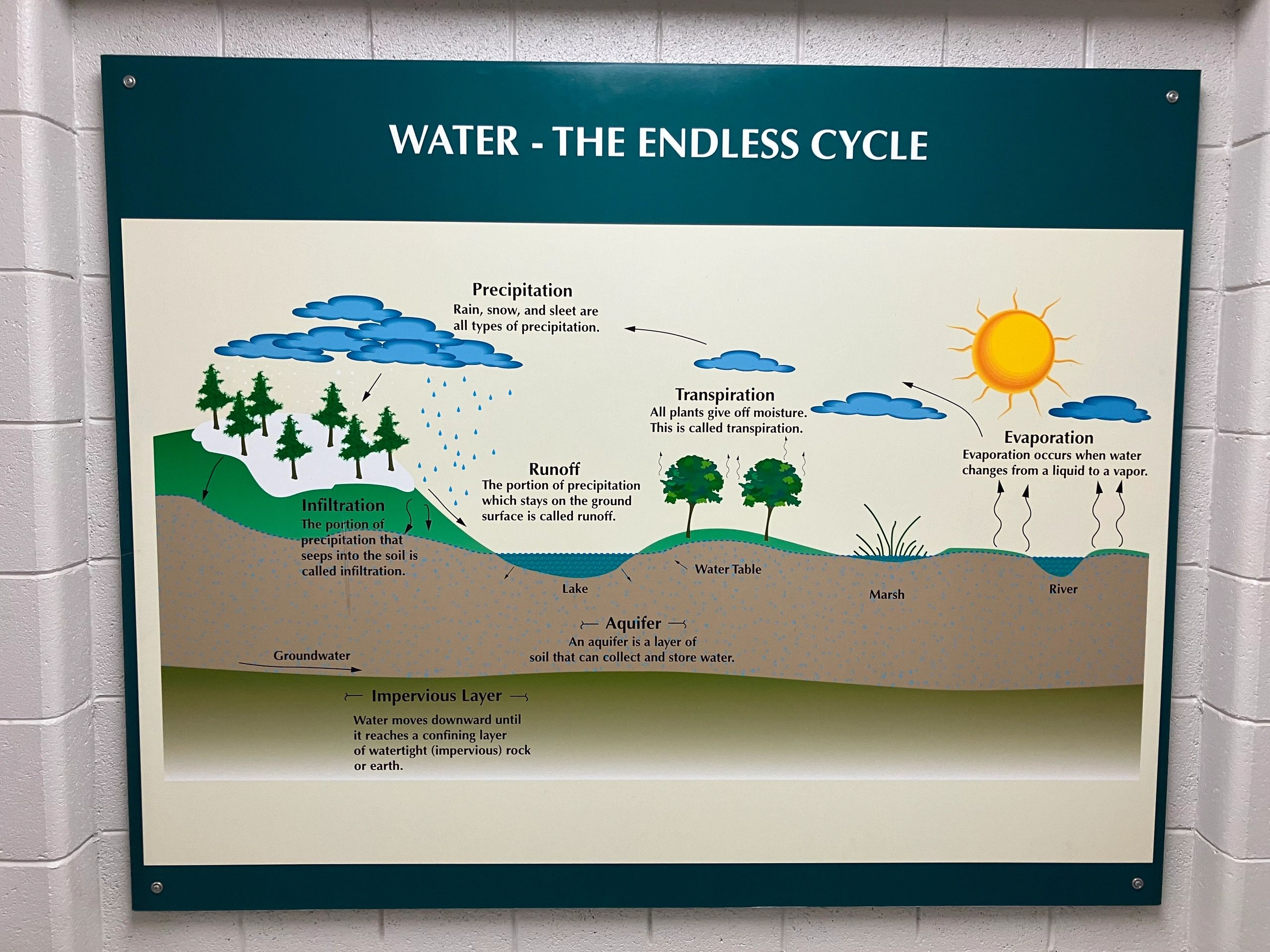 THE ENDLESS CYCLE OF WATER, YOU COME FROM YOUR MOTHERS WATER