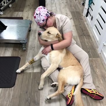 Welcome! [happytailsvethospital.com]