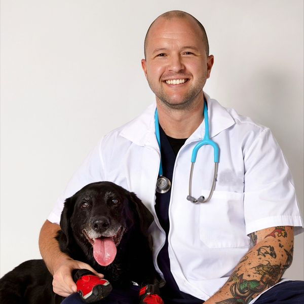 Veterinary Care, Veterinary Hospital, Veterinarian - Happy Tails ...