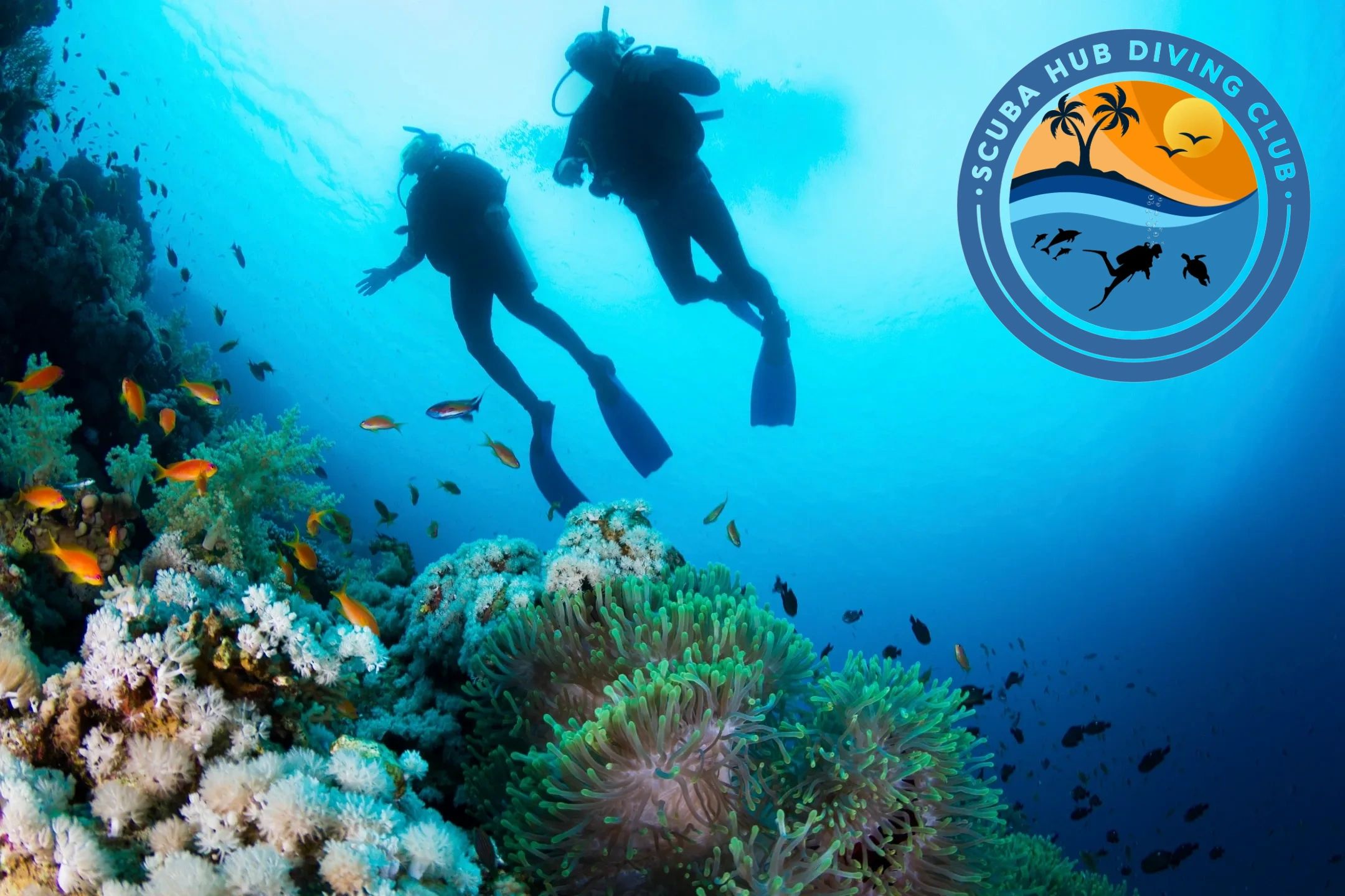 Scuba Hub Diving Club