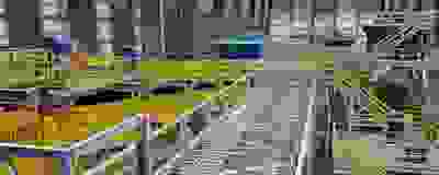 Scott Steel | Scott Steel