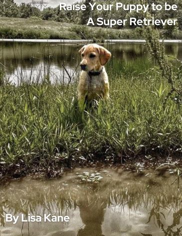 Glory Lane Retrievers | Dog Training Grounds