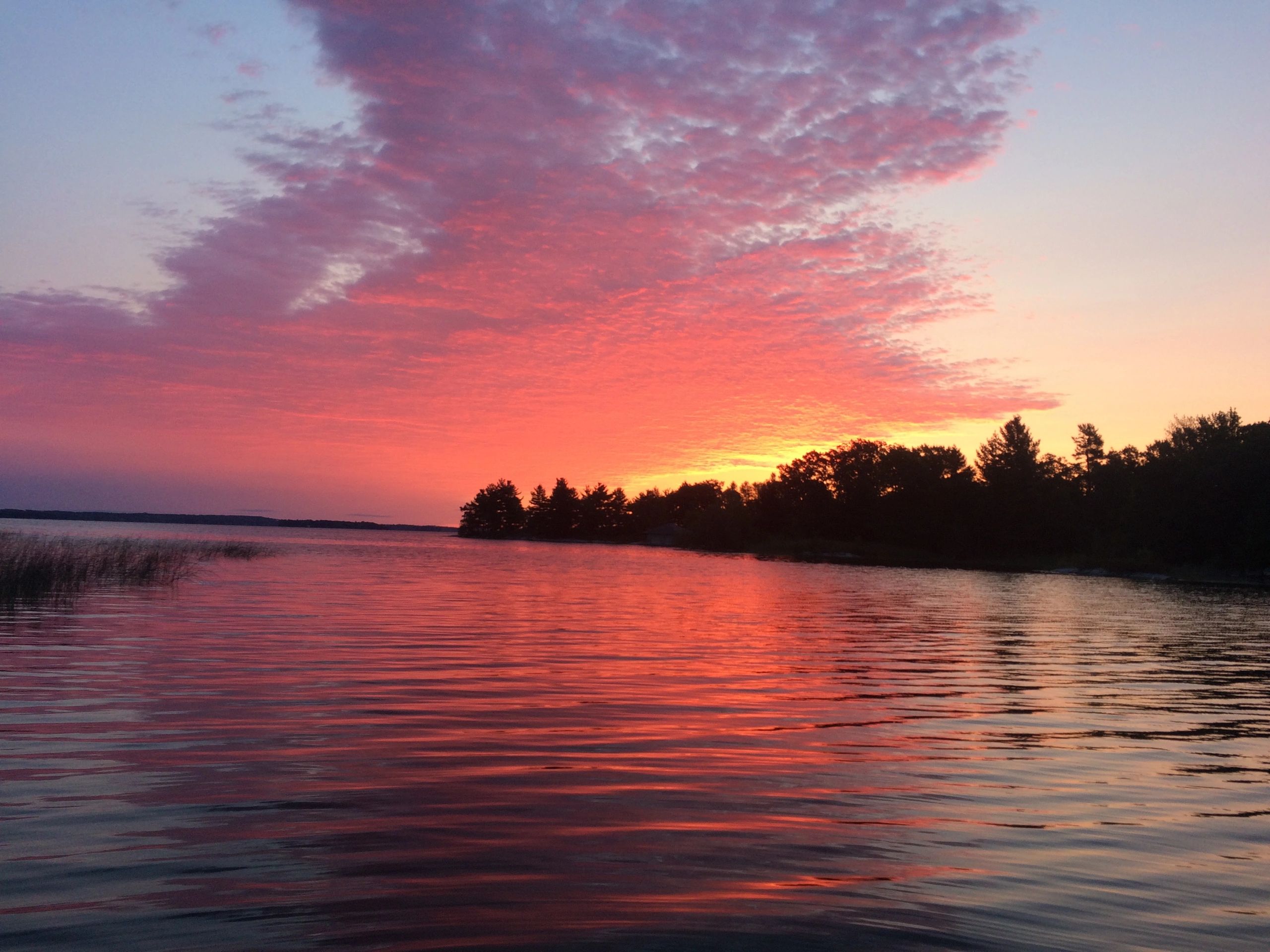 Thomas Heneghan's Webage