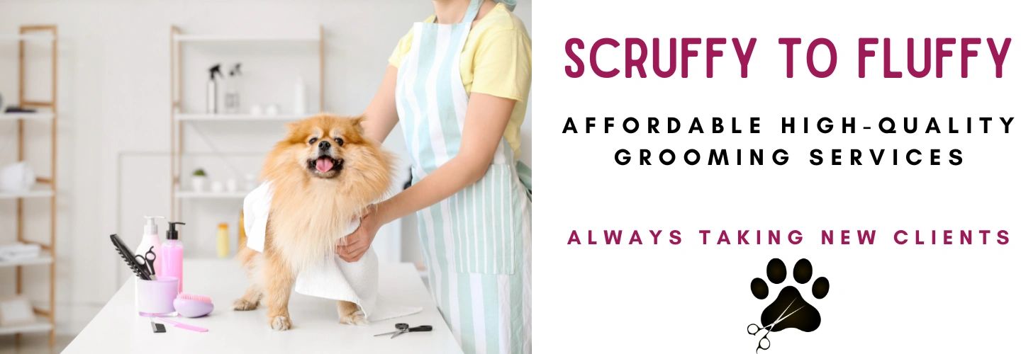 Full Dog Grooming (we take all breeds, prices may vary due to breed and ...