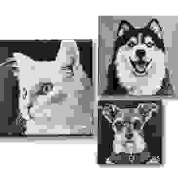 Pet Face Portraits