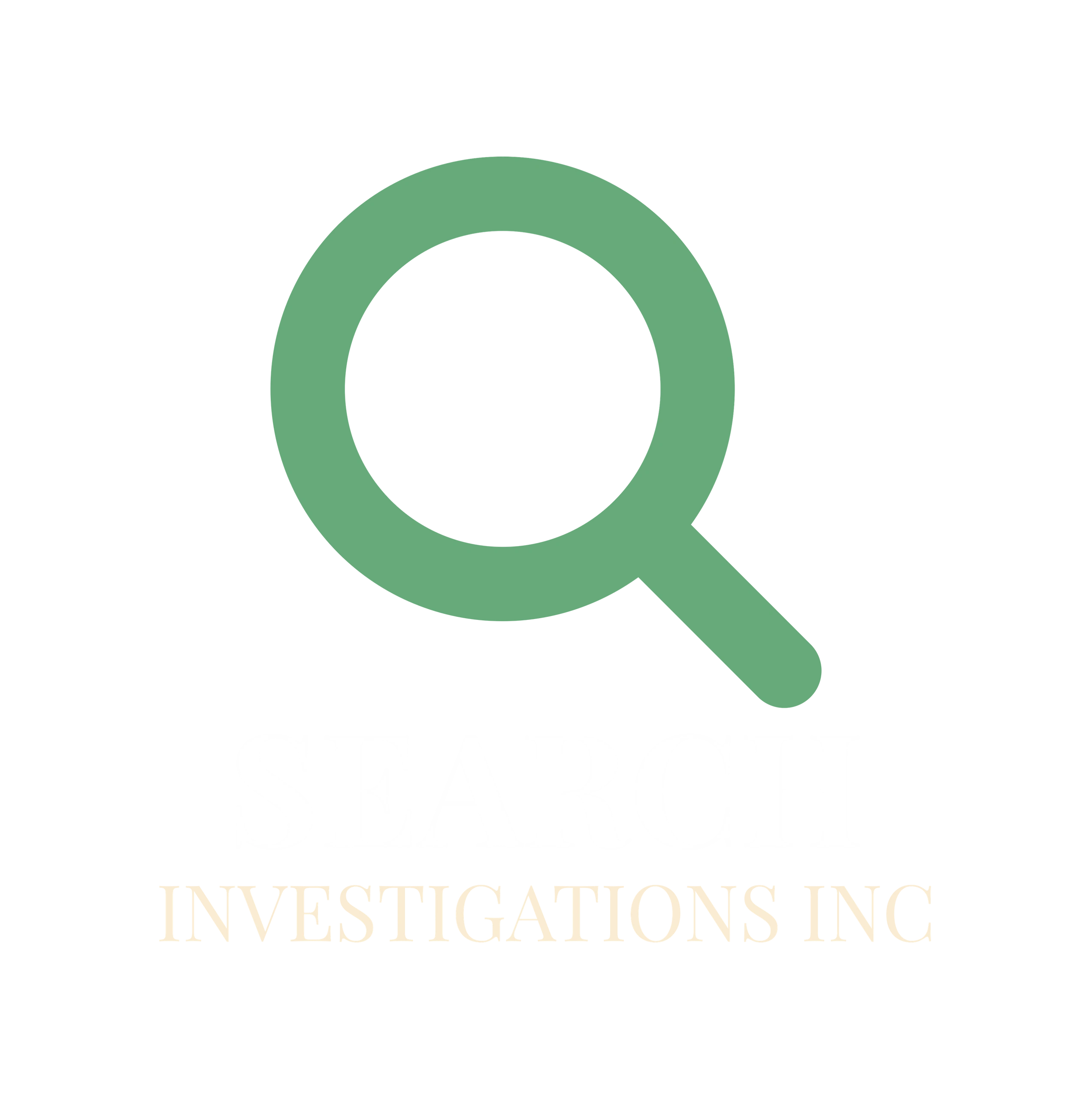 Search Investigations Inc