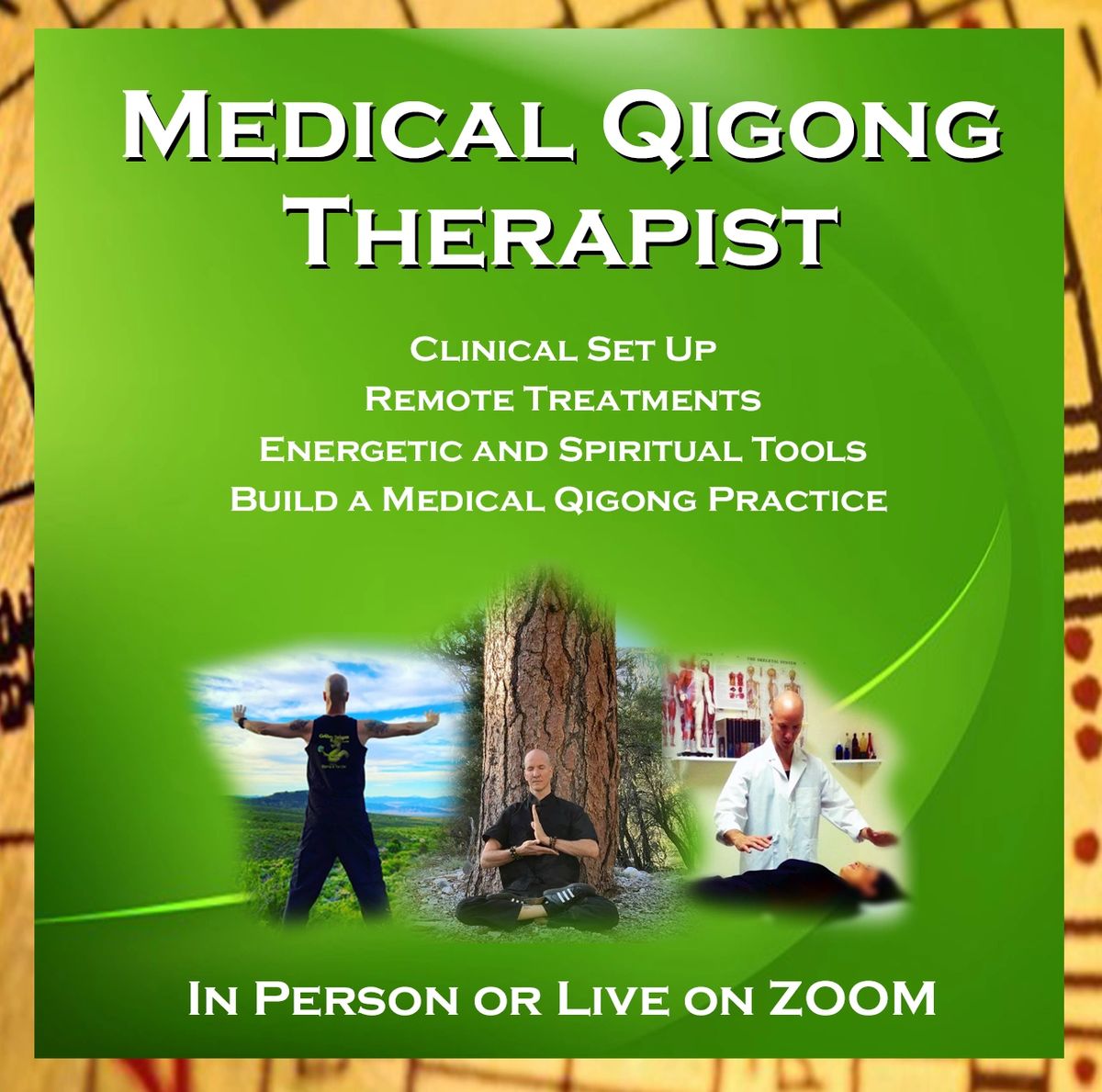 Medical Qigong Therpaist* with Sifu JC - 24 Weeks
