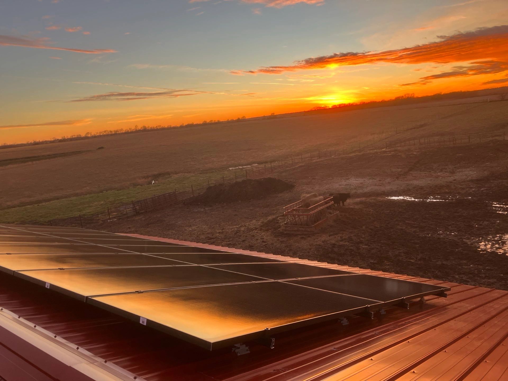 Invictus Roofing & Solar