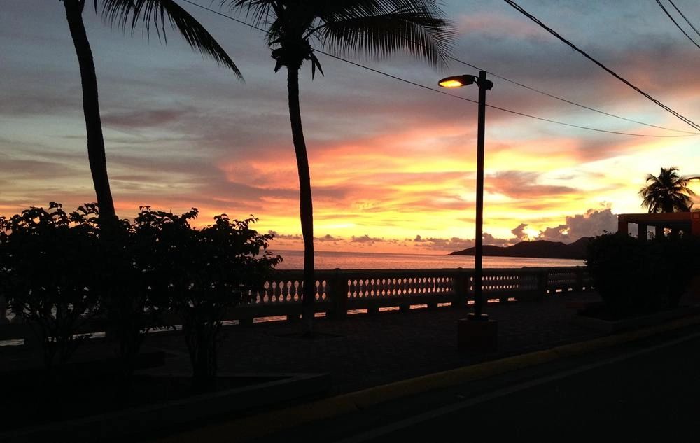 Vacation Rental - Birdnestudios