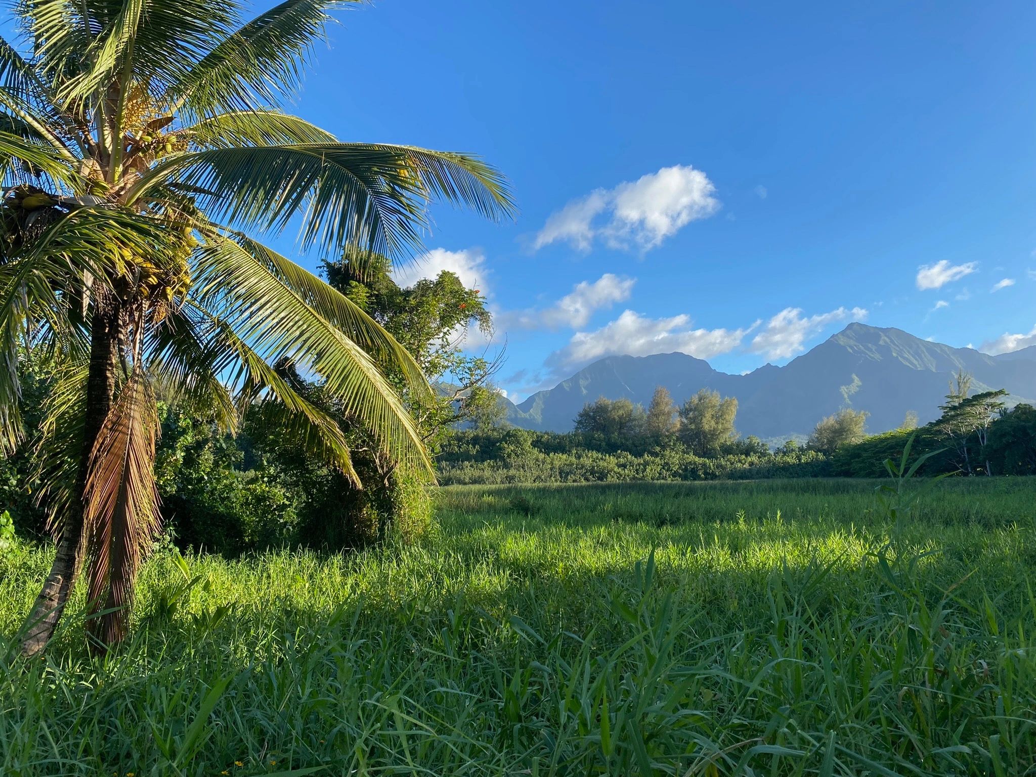 Hawaii Waste Disposal Recycling Services Environmental Consulting