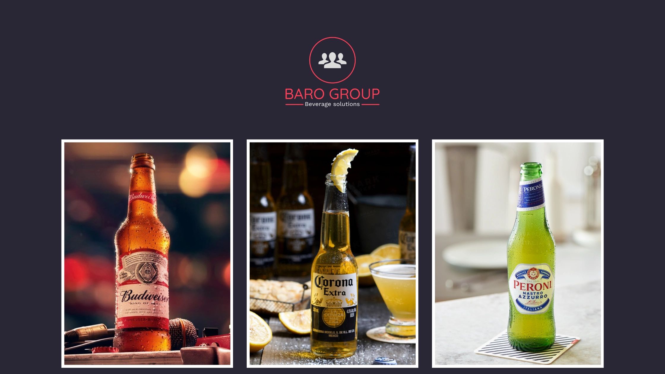 About Us | Baro Group