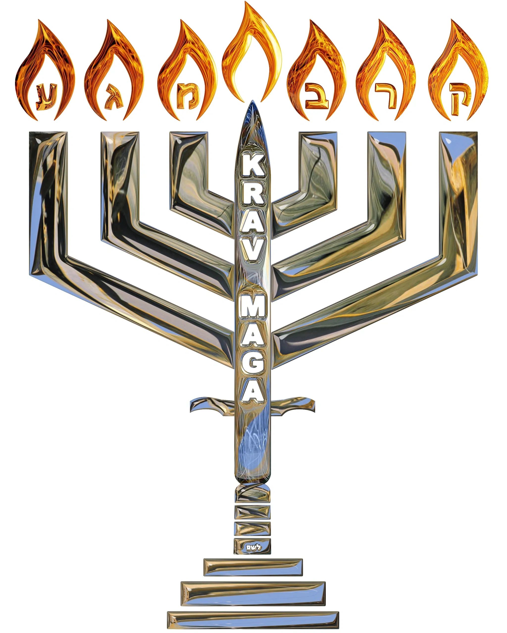 Davidic Line Krav Maga