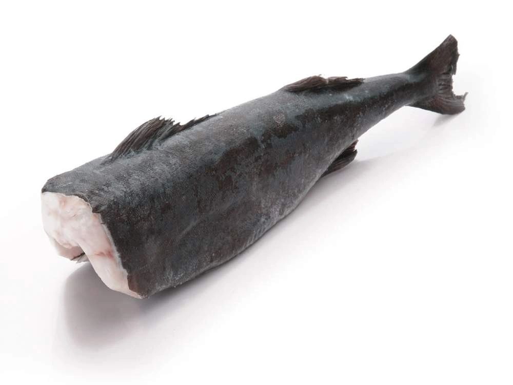Whole -Frozen Black Cod (headless)+-/- 2.5kg