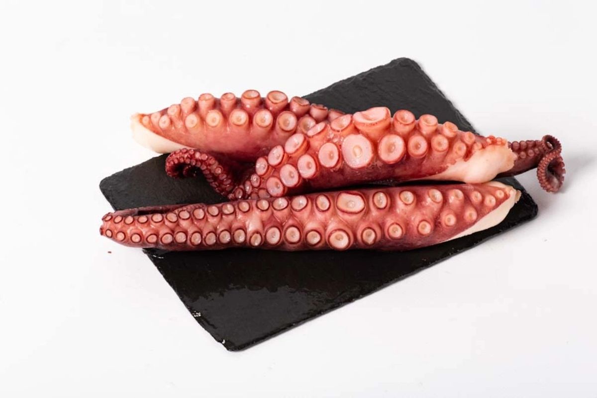 Octopus Leg - BEST QUALITY
