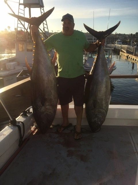 Can you say LARGE BLUEFIN?!