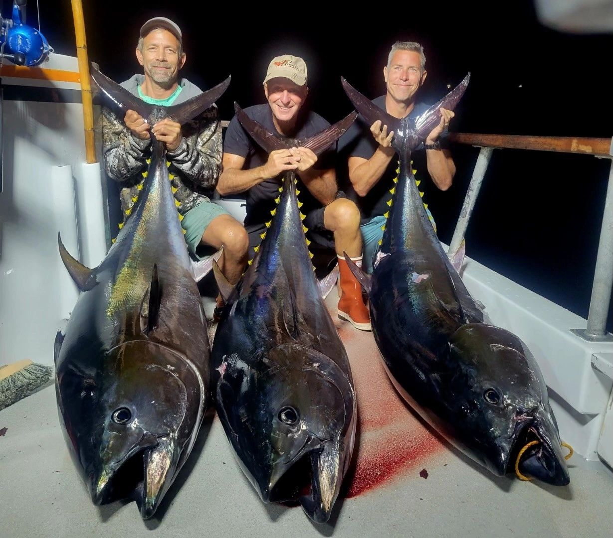 Bluefin caught during the day?!