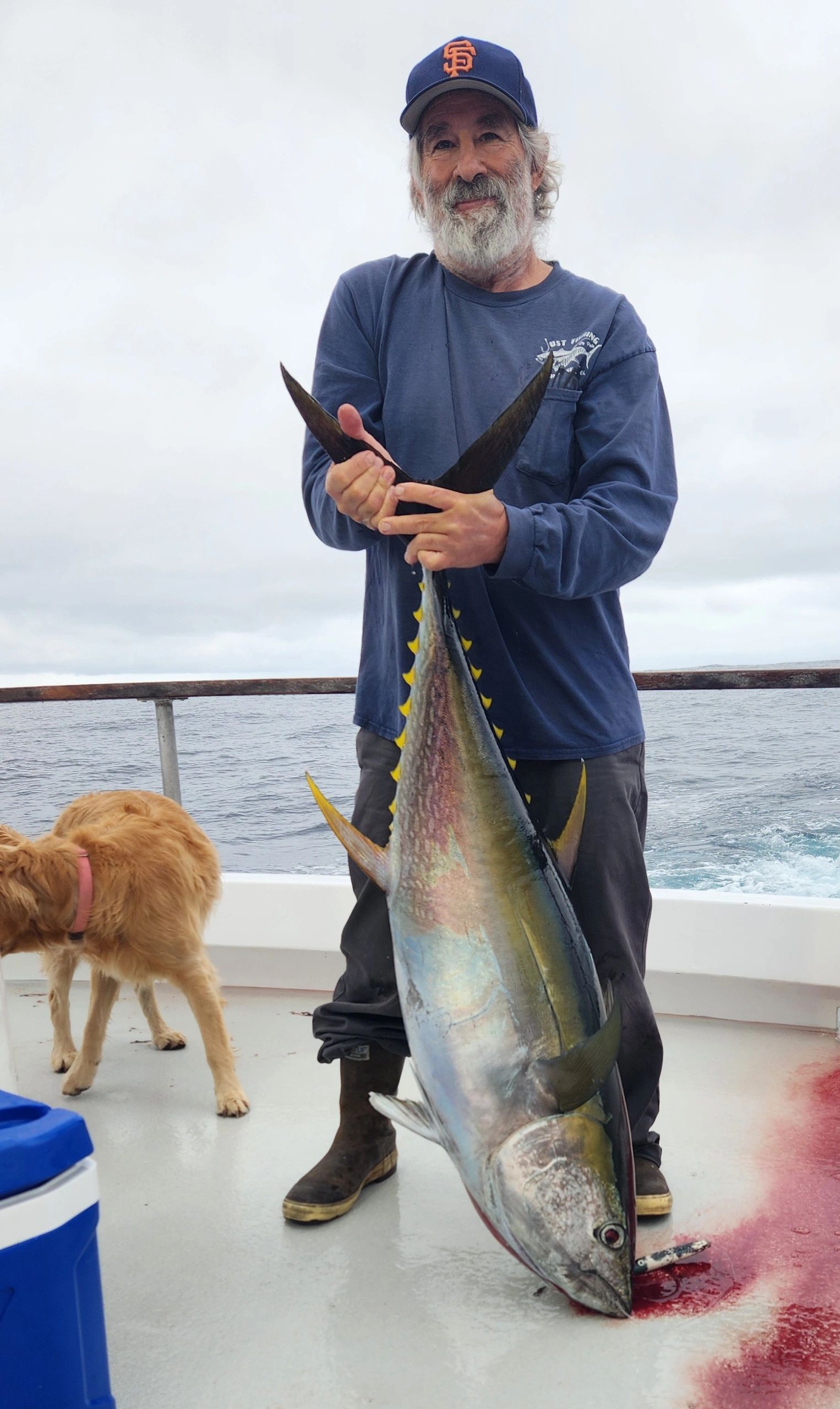 What? Is that a Yellowfin?!