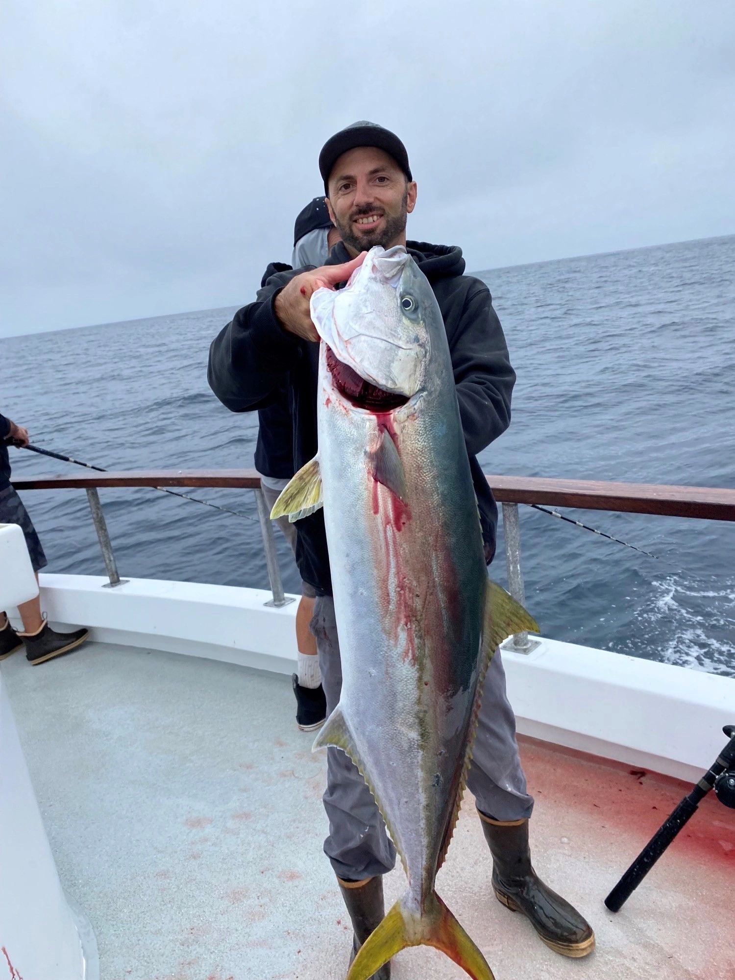 1.5 day nets some very nice Yellowtail!