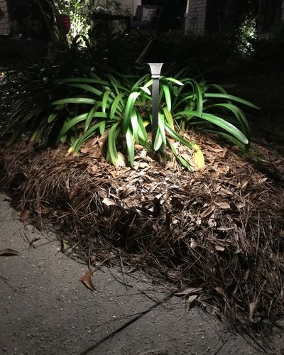 The Lawn Ranger Landscaping - Home