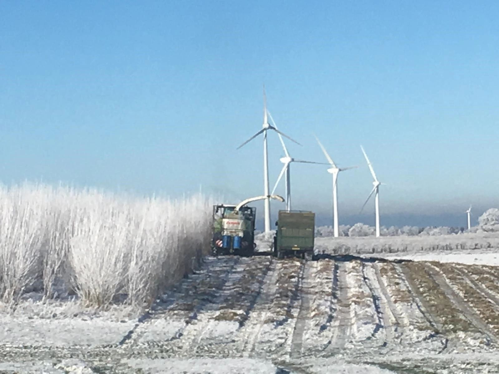 Carbon Drawdown Limited