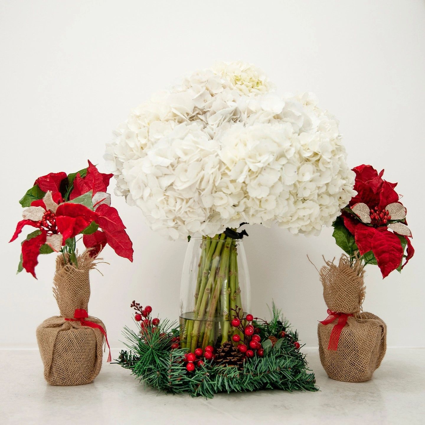 InBloom Group - Farm Direct Distributors, Fresh Cut Flowers, Business ...