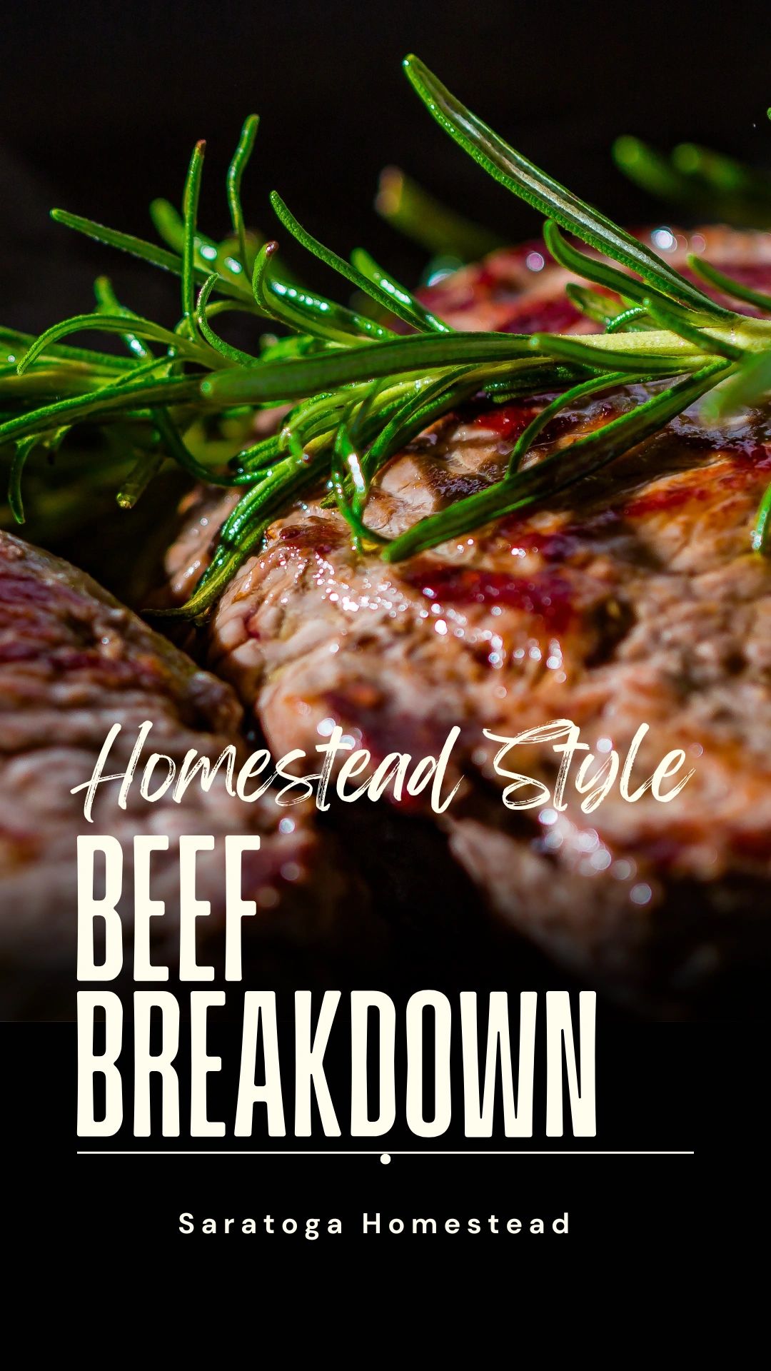 Whole Beef Breakdown Homestead Style