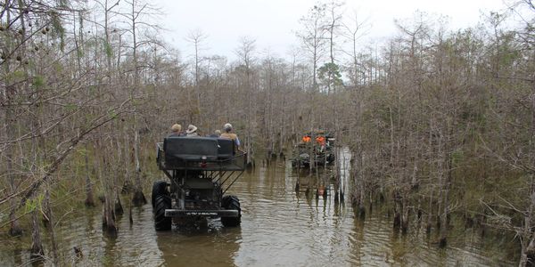 Big Cypress Swamp Tours - Tour, Everglades Tour, Swamp Buggy Tours ...