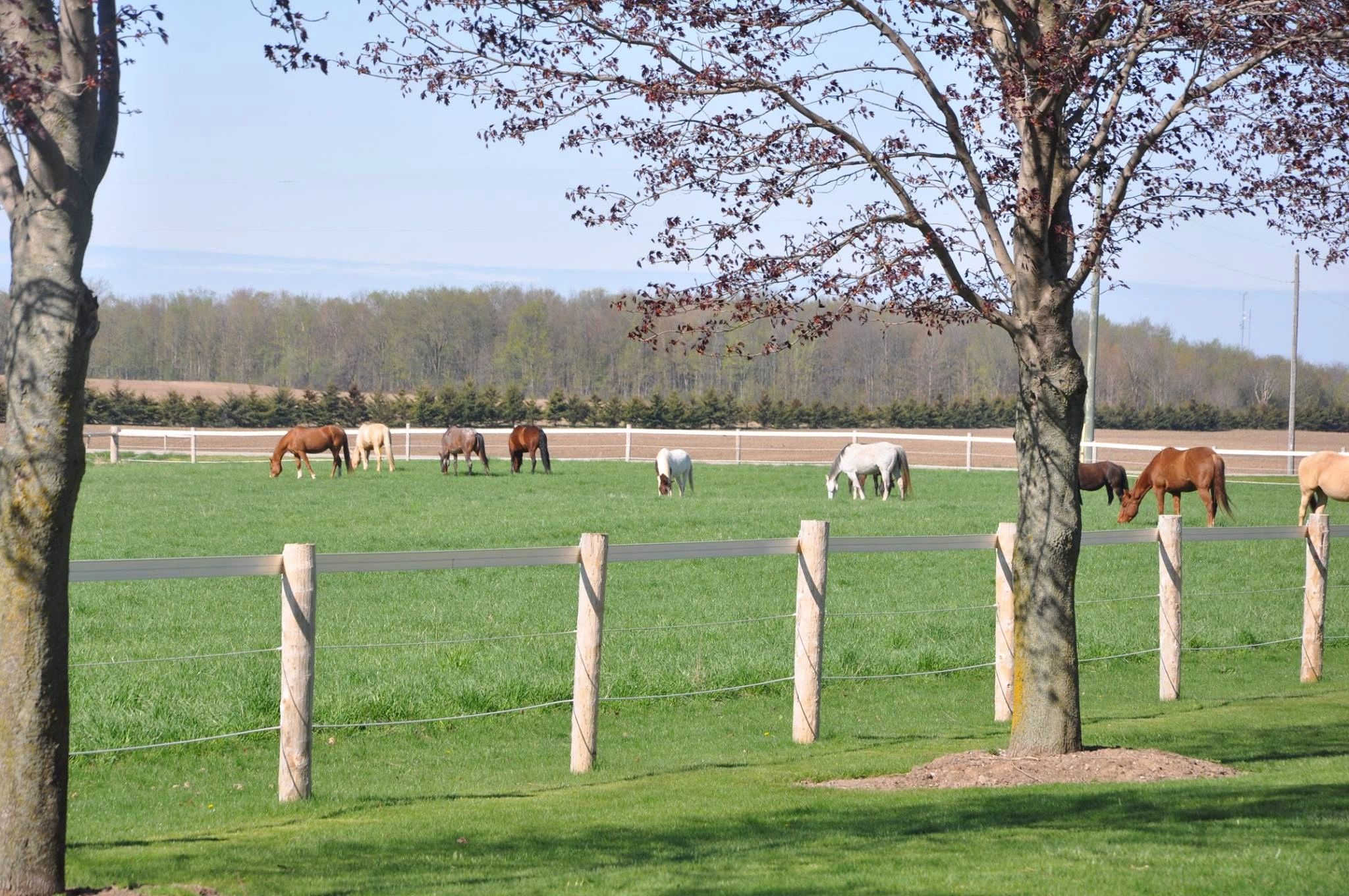 Camps | Grace Farms