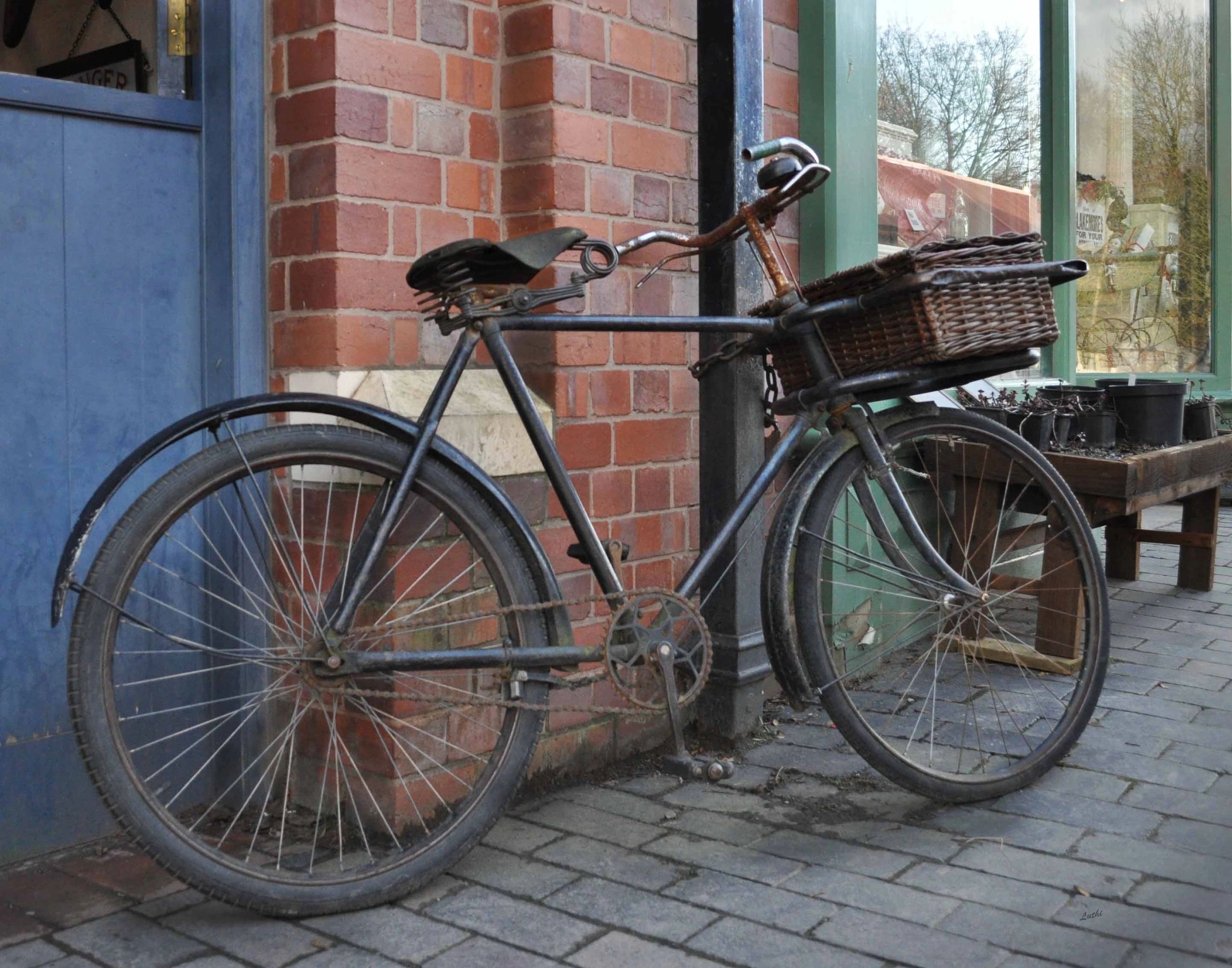 Brenda Luthi Artworks - The Artist