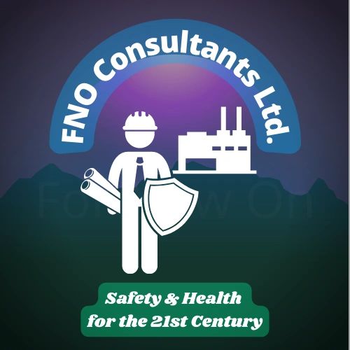 fno consultants