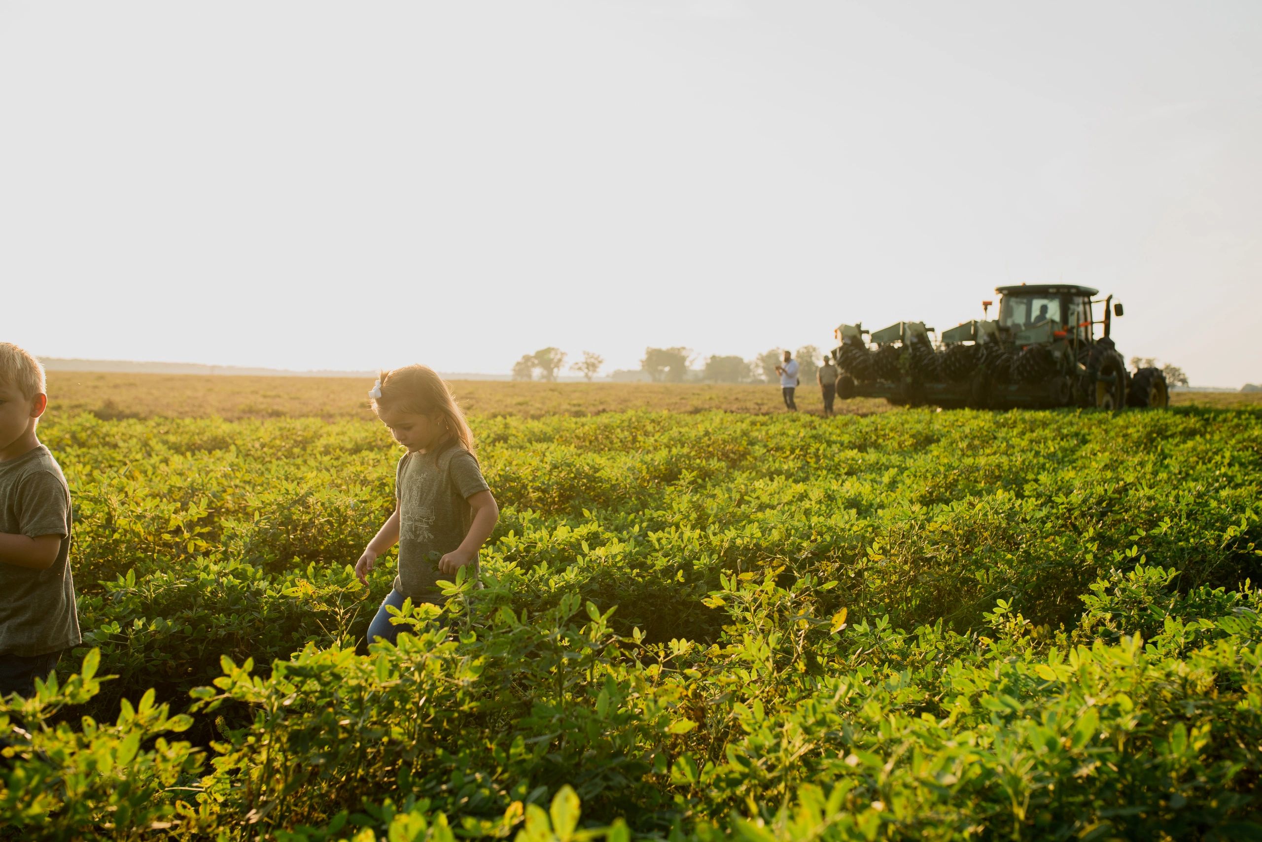 Building Blocks Challenge