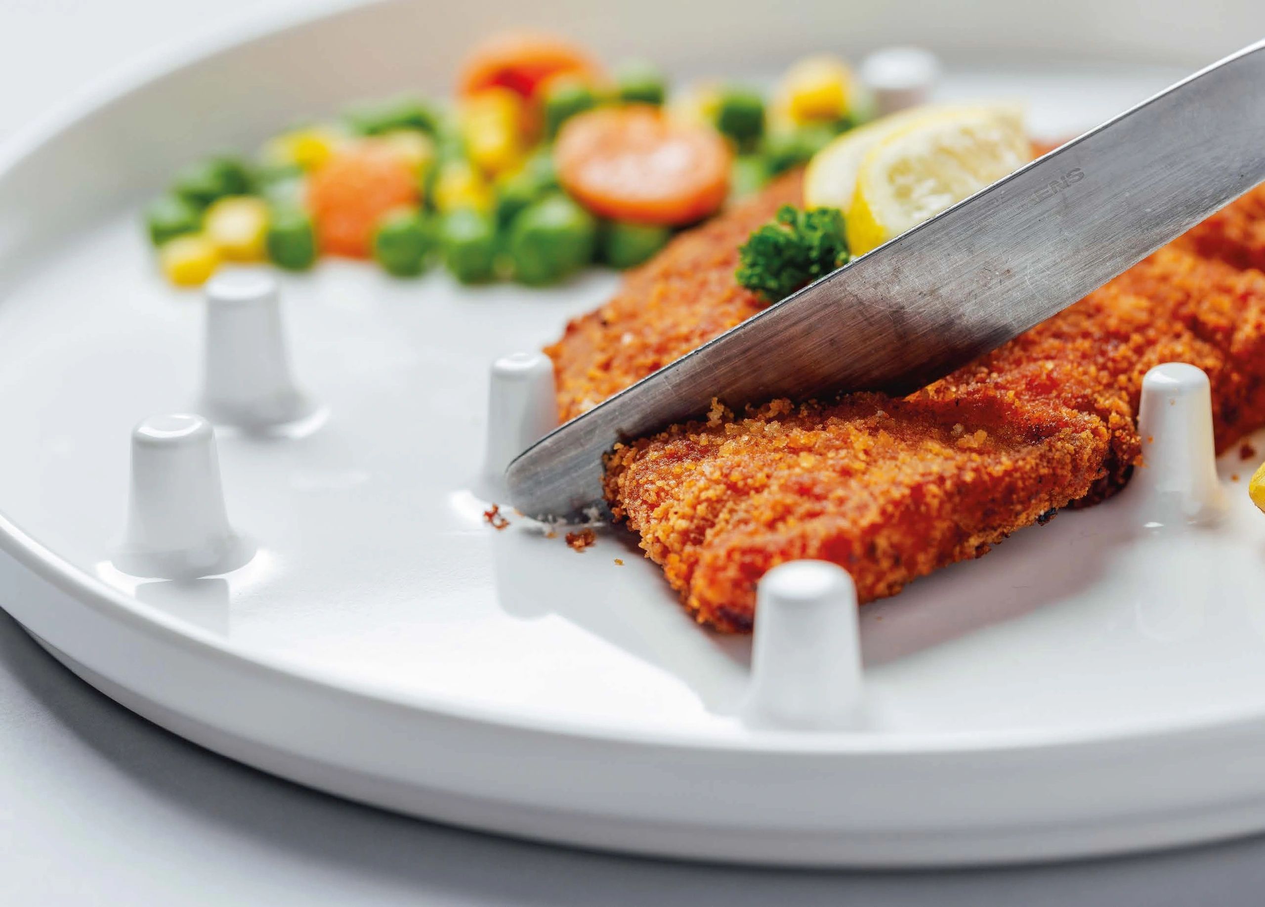 Enhance Your Dining Experience with Our Adaptive Plates | Adaptive ...