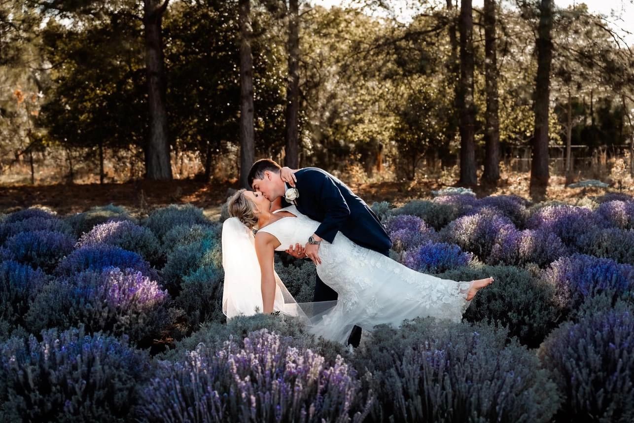 King George Lavender, LLC