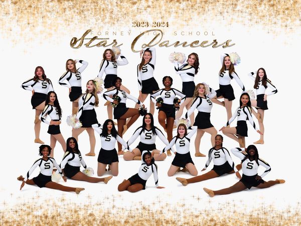 Forney Highschool Highsteppers